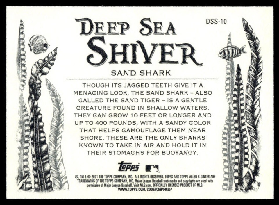 2021 Topps Allen & Ginter Sand Shark #DSS-10 Deep Sea Shiver | eBay