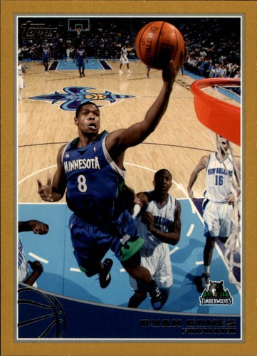2009-10 Topps Gold Minnesota Timberwolves Basketball Card #166 Ryan ...