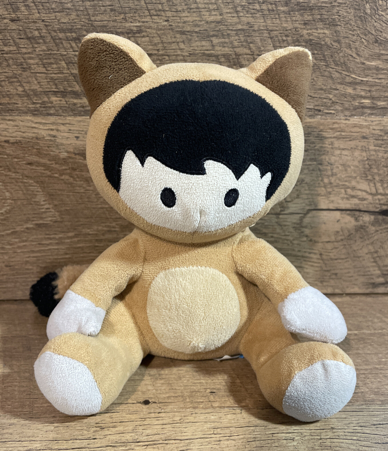 Salesforce Trailhead Mascot Astro 8" Stuffed Plush Raccoon 2015 | eBay