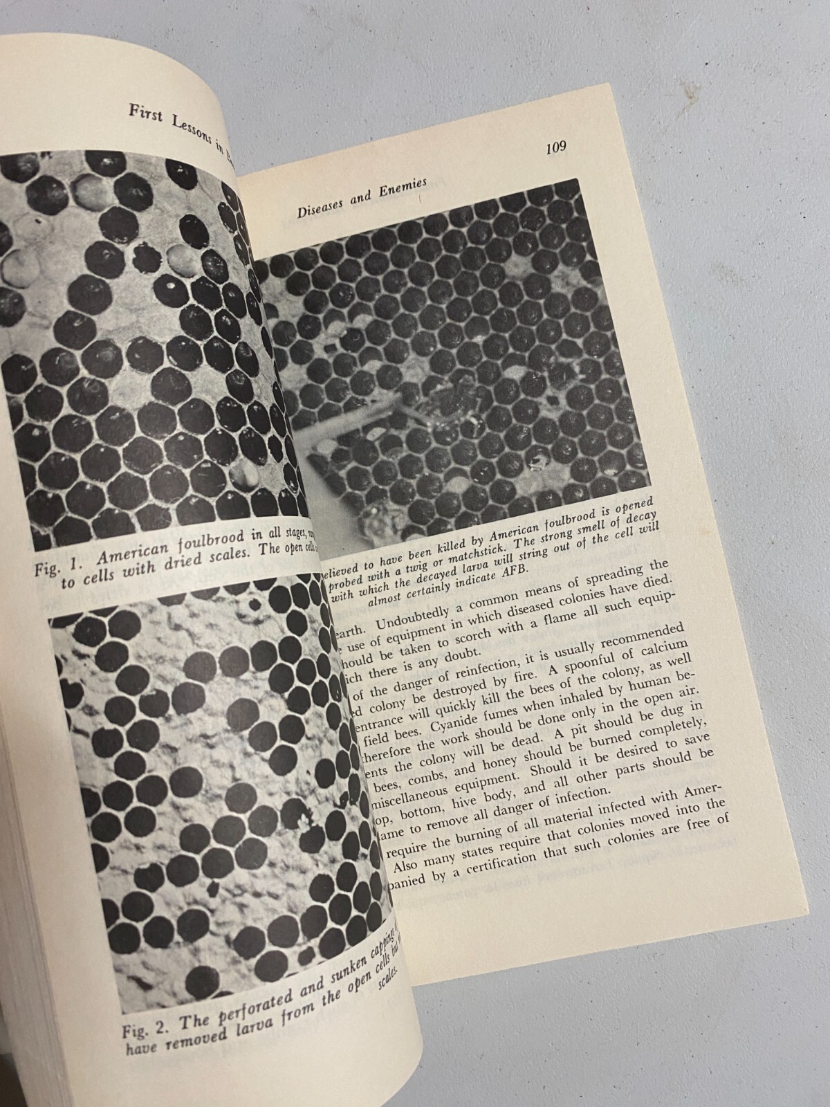 First Lessons in Beekeeping by C. P. Dadant (Paperback, 1987) | eBay