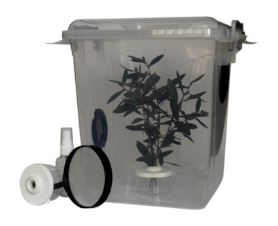 Stick Insect Enclosure Kit, Includes,Two Twig Pots,Mister Bottle Etc ...