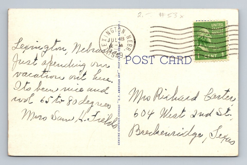Lexington NE-Nebraska Community Hospital Vintage c1949 Postcard ...