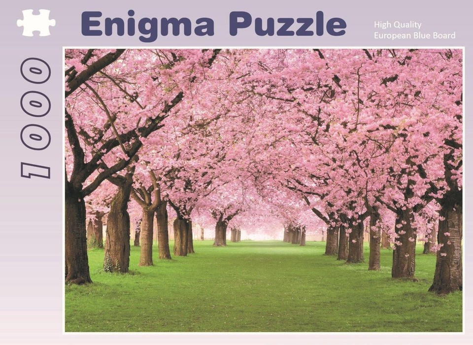 Enigma 1000 Piece Jigsaw Puzzle | World Landscapes Cities Architecture ...