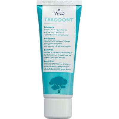 TEBODONT TOOTHPASTE WITHOUT FLUORIDE 75 ML | eBay