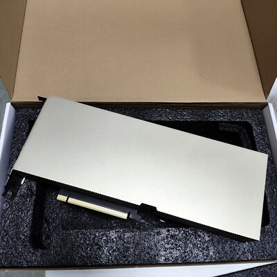 NVIDIA A10G 24GB GDDR6 GPU Passive Cooler Computing Accelerator ...