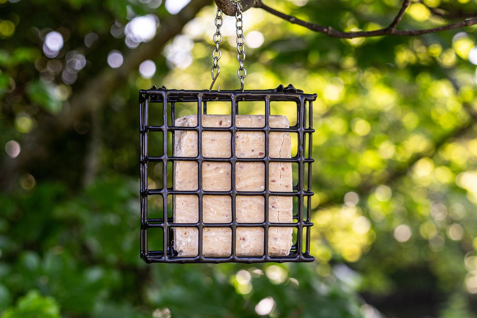 Chubby Suet Fat Blocks High Energy Garden Bird Food Suet Cakes For Wild ...