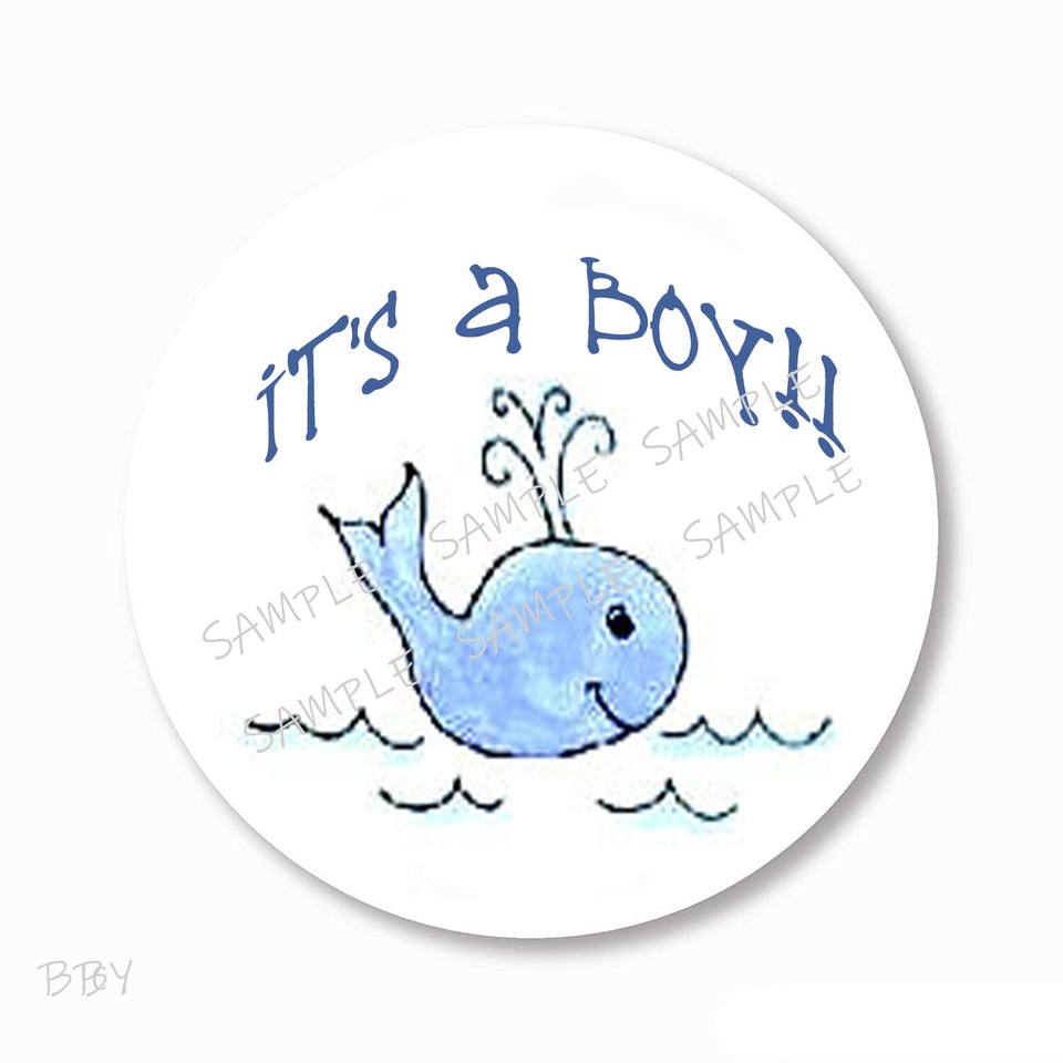 Cartoon Baby Blue Whale