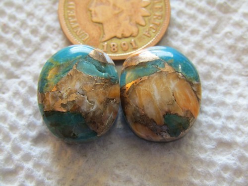2 Spiny Oyster Shell Mojave Turquoise Cabs 22 carats Orange Red Blue ...