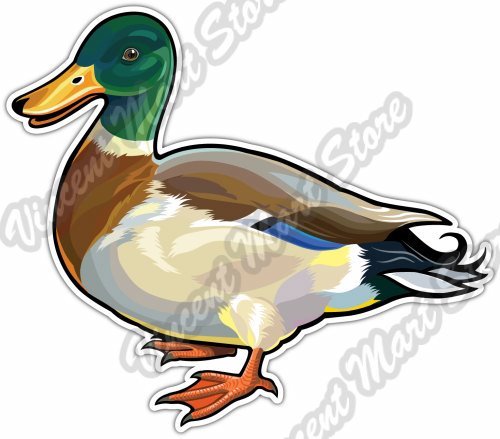 Mallard Wild Duck Male Bird Car Bumper Window Vinyl Sticker Decal 5"X4 ...