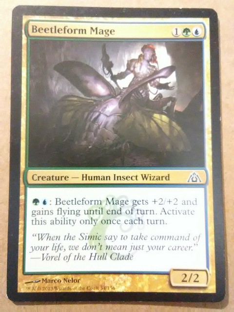 MTG Beetleform Mage Dragon's Maze 54/156 Regular Common for sale online ...