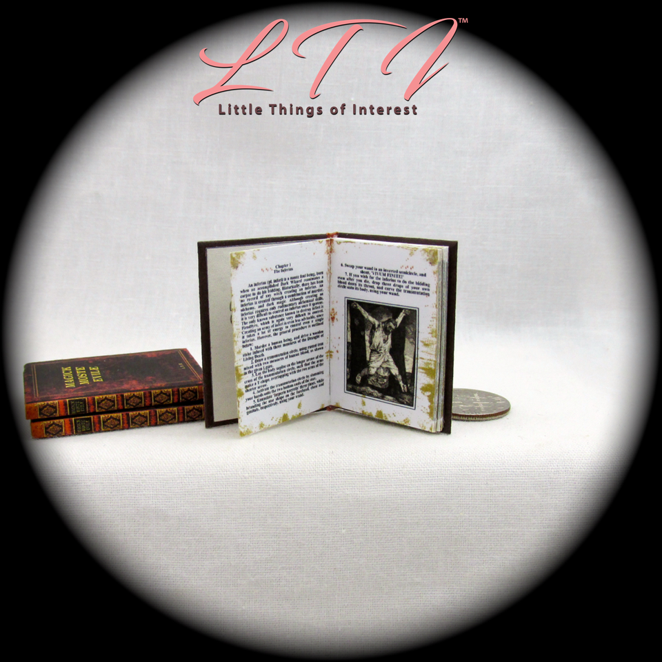 1:6 Scale MAGICK MOSTE EVILE Illustrated Readable Spell Book Harry Potter | eBay