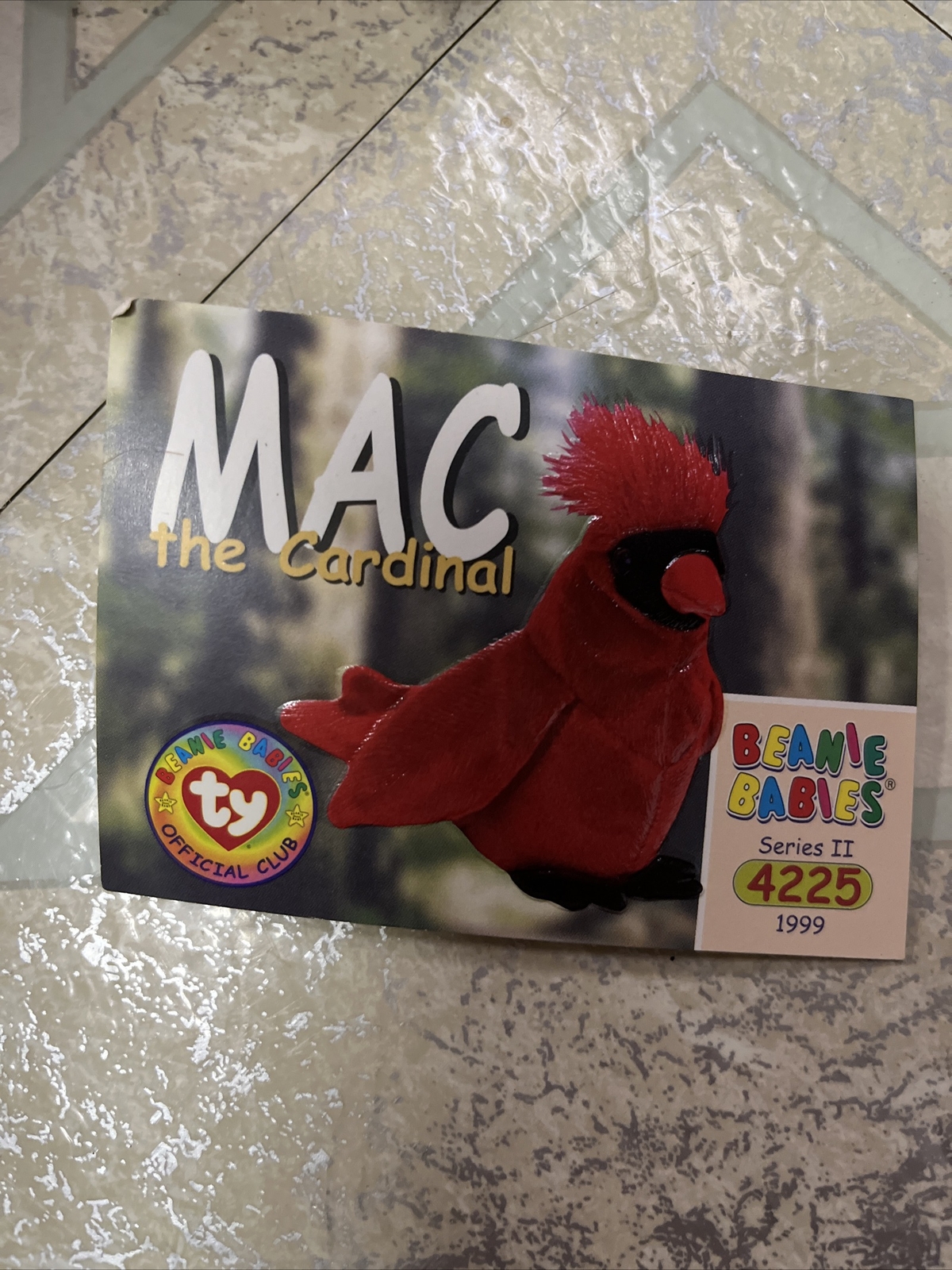 TY BEANIE BABY Mac Red Cardinal Bird With Tag With Tag Error 1998/1999 ...