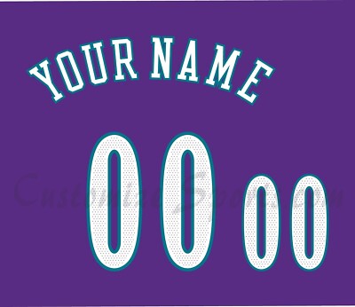 Basketball Charlotte Hornets Customized Number Kit For 1994-1996 Alt ...