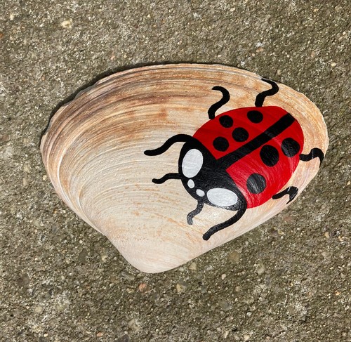 Hand Painted Red Ladybug Large Seashell Glazed Acrylic Decorative Gift ...