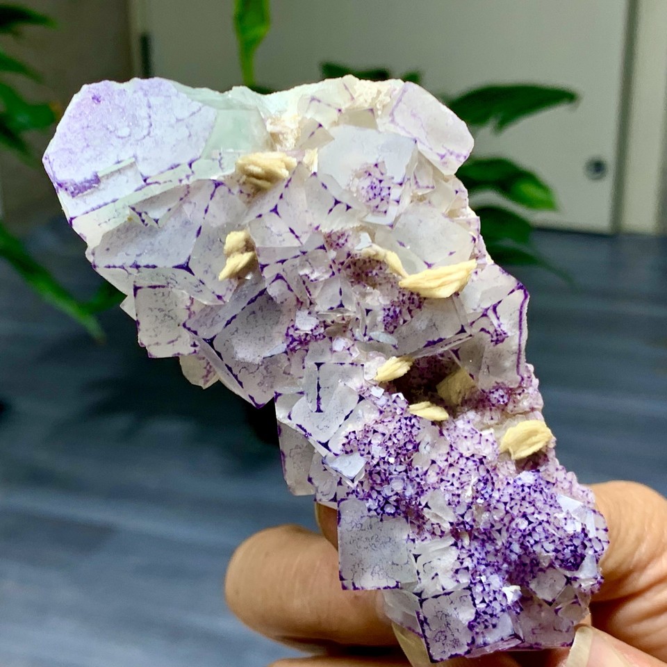 224GNatural Purple "QR Code"Fluorite Cluster Crystal Mineral Specimen ...