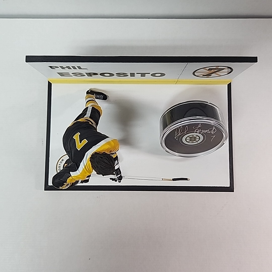 Phil Esposito, Boston Bruins Custom Hockey Display With Figure & Signed ...