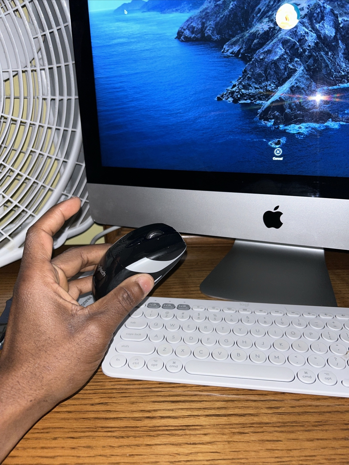 Apple iMac (1TB HDD + 128GB SSD, Dual Core i5-4570, 2.7 GHz, 8GB ...