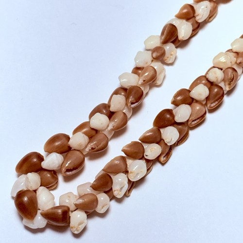 100% Hawaiian Niihau Momi Poleho Shells 20" Single Strand Lei Necklace ...