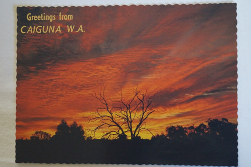 Greetings from Caiguna Sunset Western Australia Classic Collectable ...