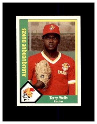 1990 Albuquerque Dukes CMC #13 Terry Wells | eBay