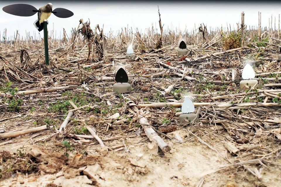 Spinning Wing Dove Decoys for Dove Hunting, 4 Pack | eBay