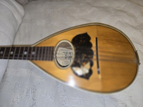 Vintage M.Iucci Italian Handmade Bowlback Mandolin | eBay