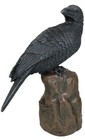 Large Dark Raven on Large Rock Platform Resin Statue Figurine 8" Height ...