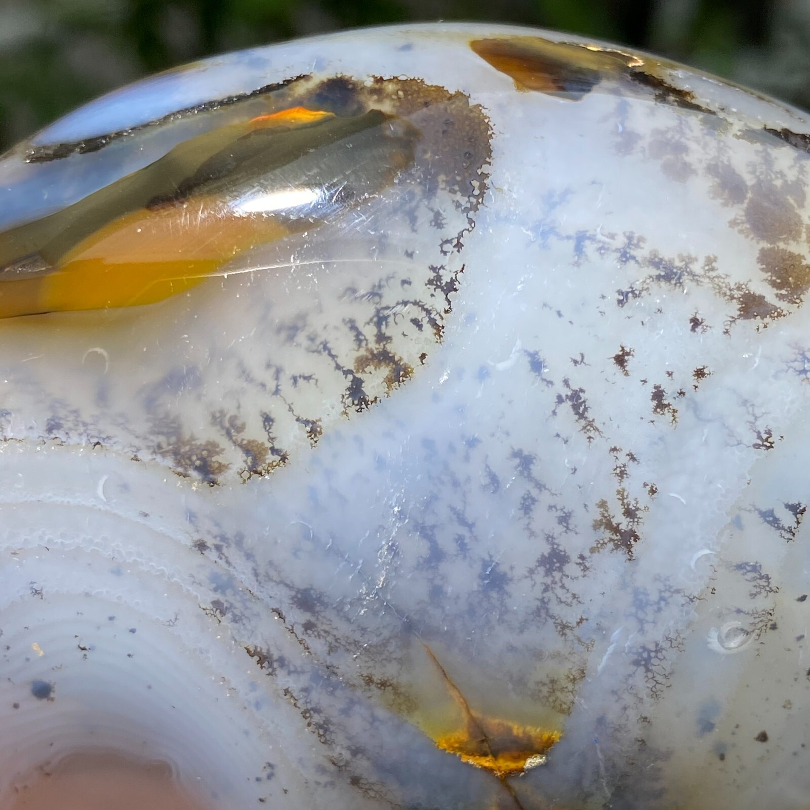 332g Dendritic Chalcedony Quartz Agate Crystal Palm Stone Natural ...