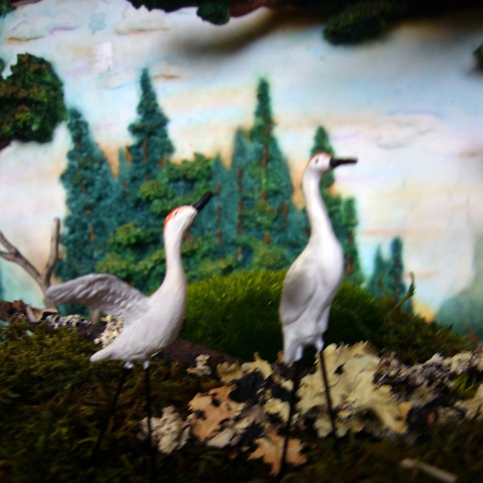 Sandhill Cranes Set/2 Asst GO 17740 Miniature Fairy Garden | eBay