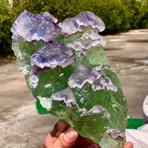 2.82LB Rare transparent Purple Green cubic fluorite mineral crystal ...