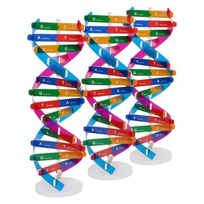 3 Pcs Components Dna Science Model Molecular Kit Double Helix Biology ...