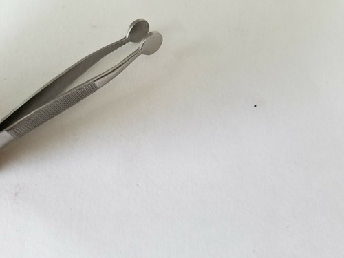 Collins Expressor Forcep Expression Meibomian Gland Meibom Ophthalmic ...