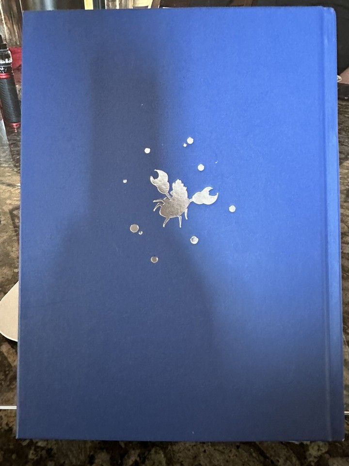 Disney Store Journal Ariel The Little Mermaid Diary 30th Anniversary ...