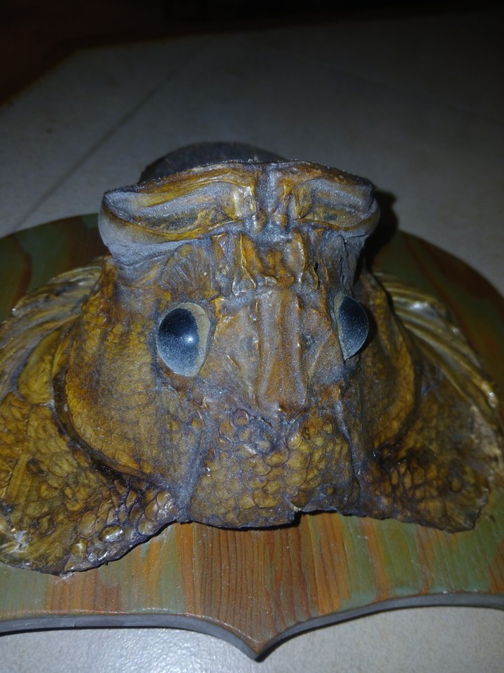 vintage mounted pike head brown and green mount approximately 9.5x8 | eBay