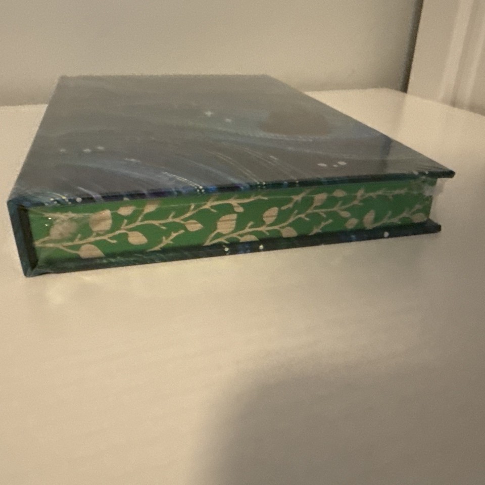 Coveted Cover Aetheria The Last Lost Girl By Casey L Bond SEALED | eBay