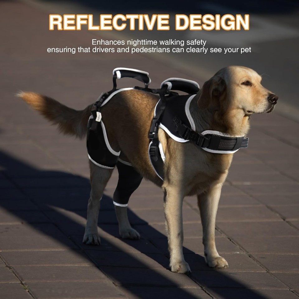 LISPOO Dog Knee Brace for Torn Acl Hind Leg,Dog Leg Braces for Back Leg ...