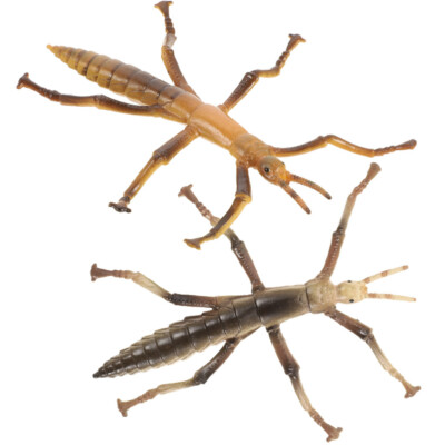 2 Pcs Simulation Stick Insect Simulate Model Toys Animal Figures | eBay