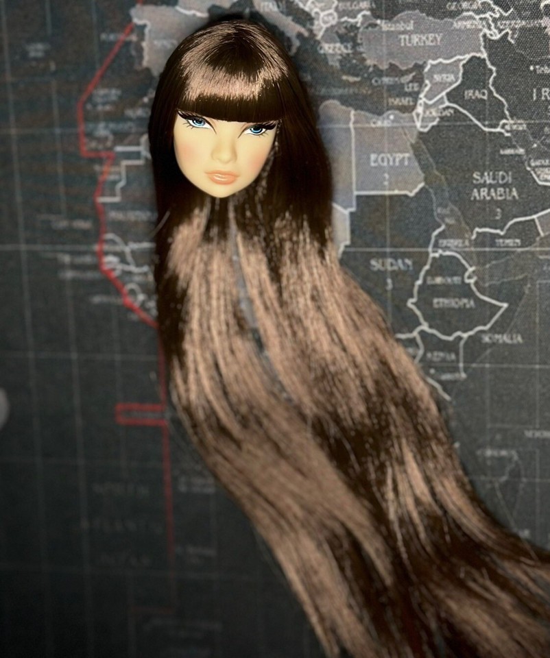 Special Offer! OOAK Fashion Royalty Erin Doll Head ~Only the Head | eBay