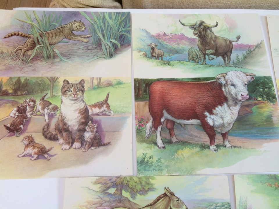 1930's Percy Reeves Domestic Animals Pictures Color Lithograph Prints ...