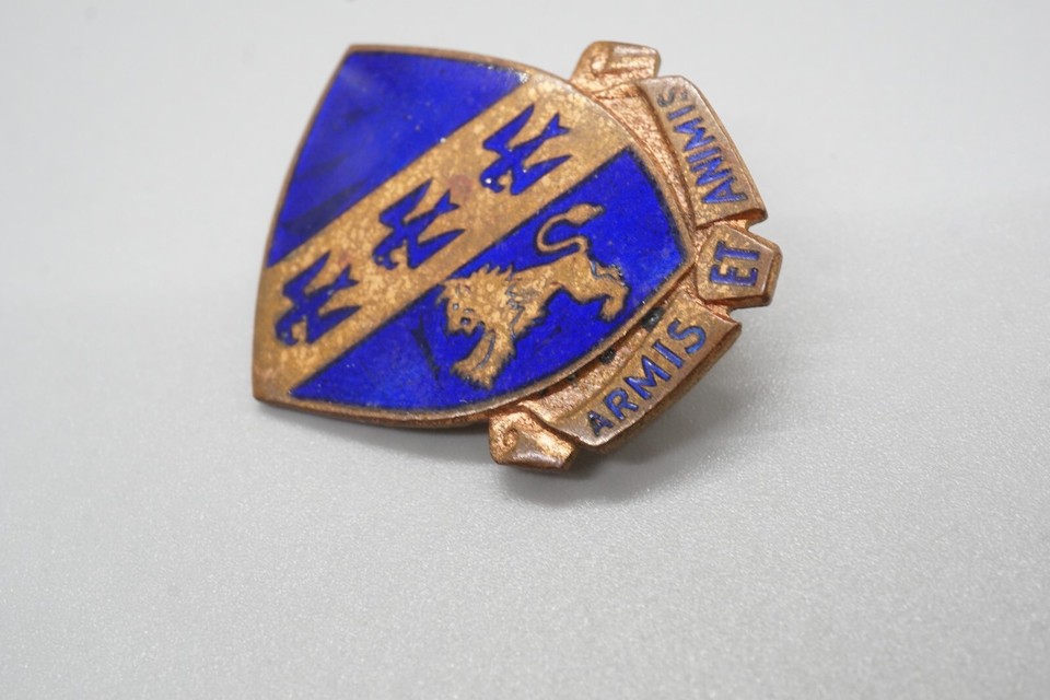 WWII German Made 317th Airborne Glider Infantry Regiment Armis Et ...