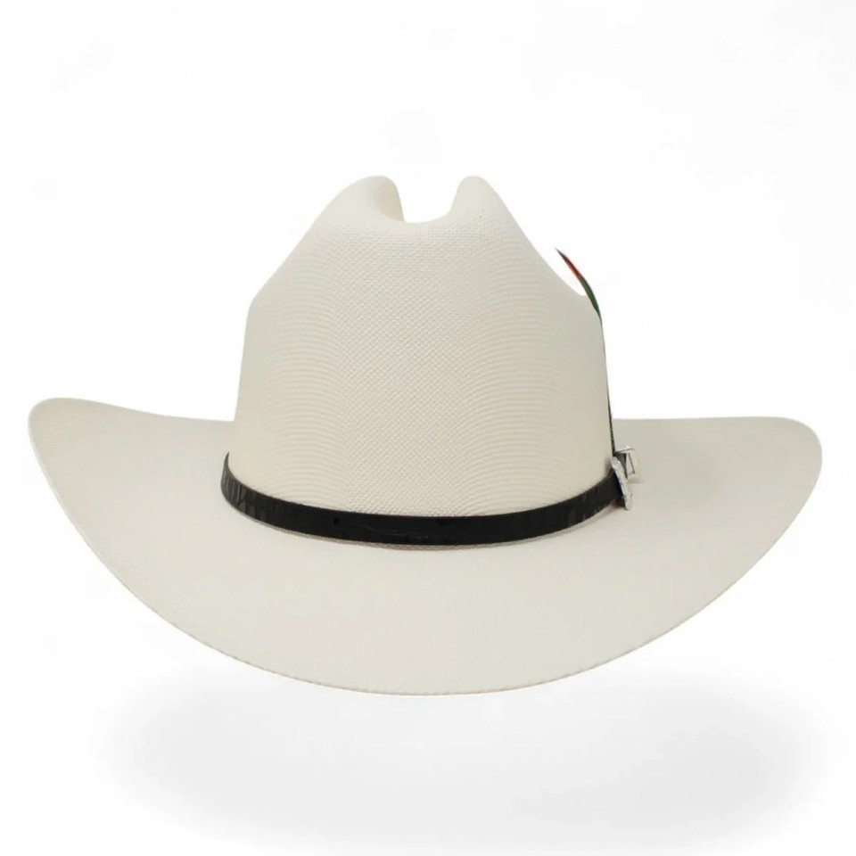 Tombstone 1000X Sinaloa Style Cowboy Hat with Feathers | 3.5” Brim | eBay