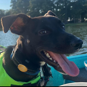 Outboard Motor Cave | eBay Stores