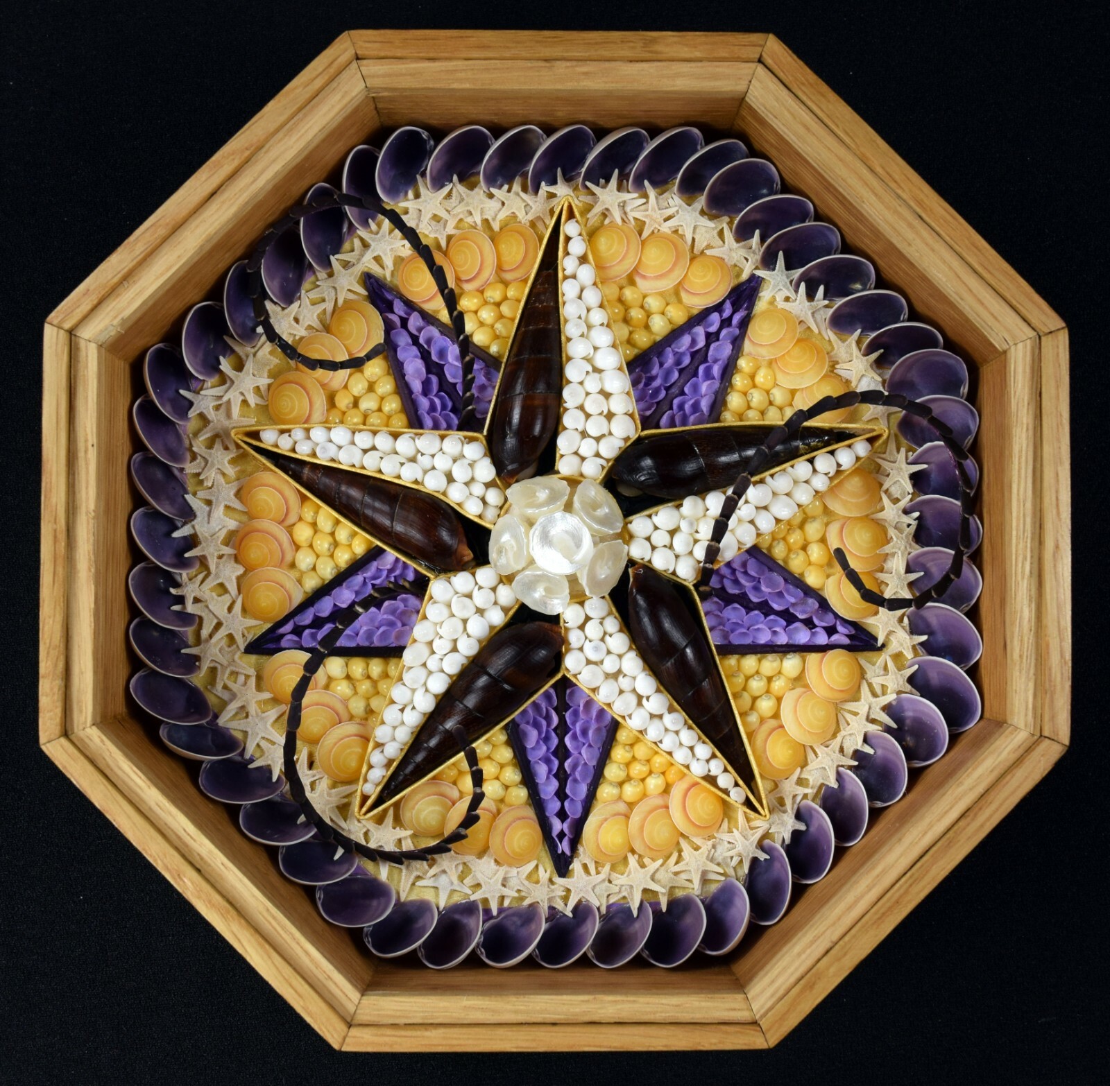 Seashell Art SAILORS VALENTINE 7” Octagon Shell Mosaic - North Star | eBay