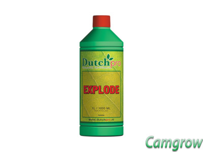 Dutch Pro - Explode 1L - Flowering Pk Boost Stimulator Hydroponics ...
