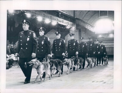 1963 Press Photo Boston Police Officers Walk Single File With Dogs ...