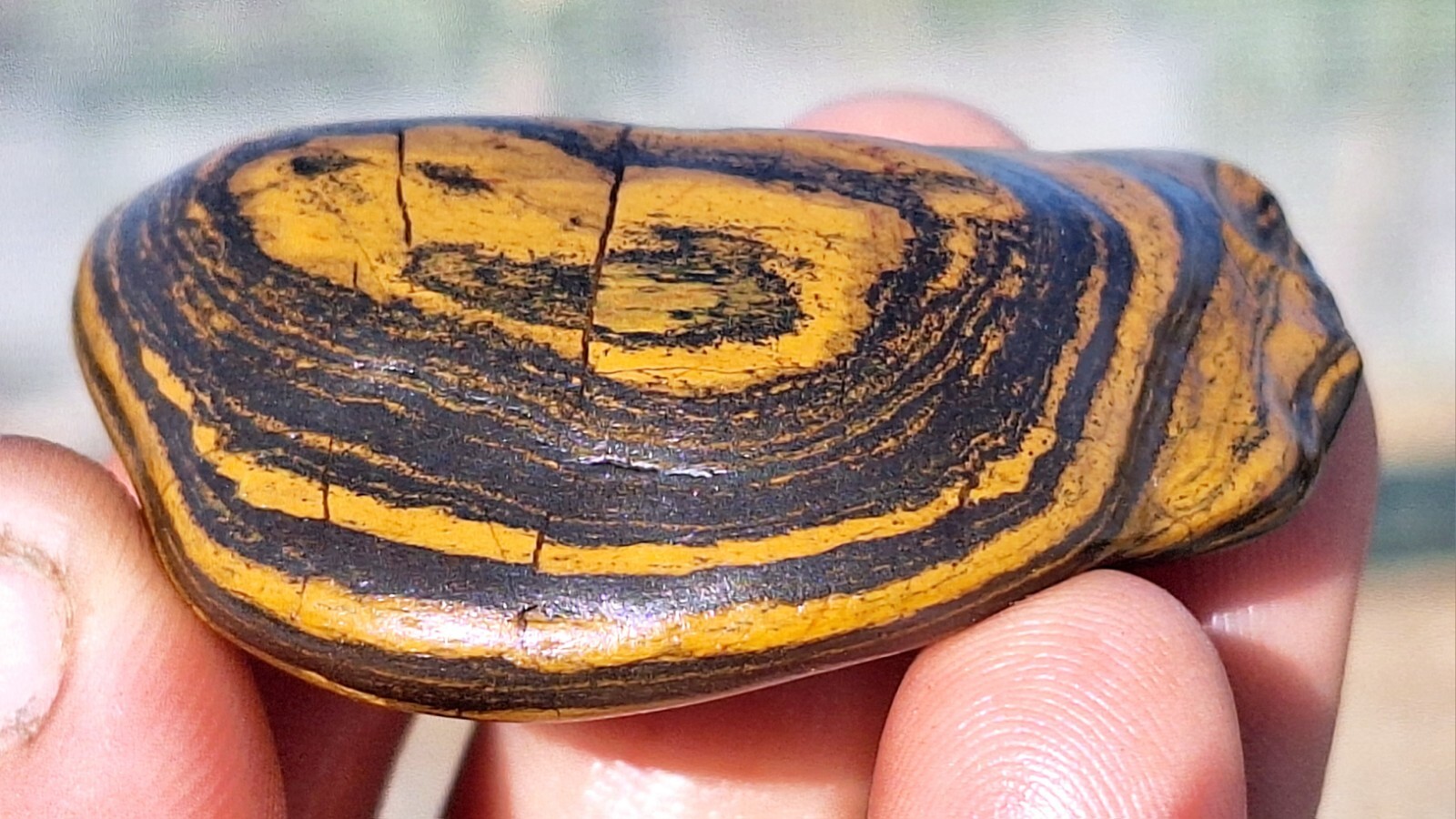 A8 Genesis Stone Magnetic Banded Ironstone BIF Wyoming Healing therapy ...