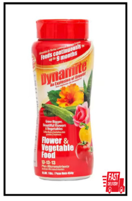 Dynamite 1 lb. All-Purpose Flower and Vegetables Plant Food | eBay