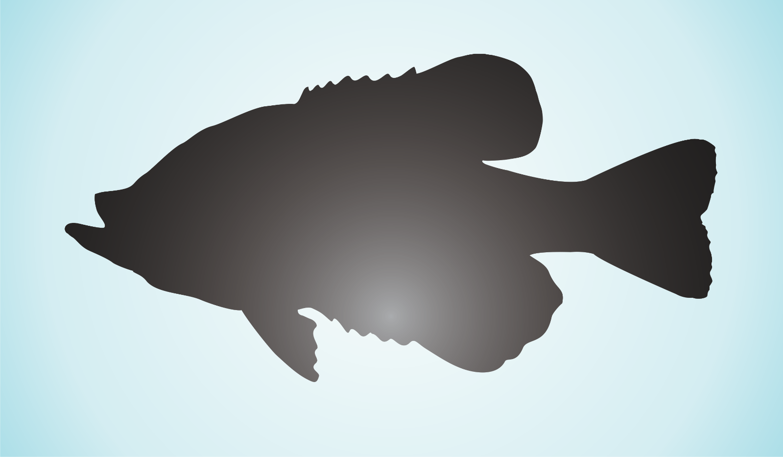 Crappie Panfish STENCIL Outdoor Summer Fish Wildlife Lake Pond DIY ...