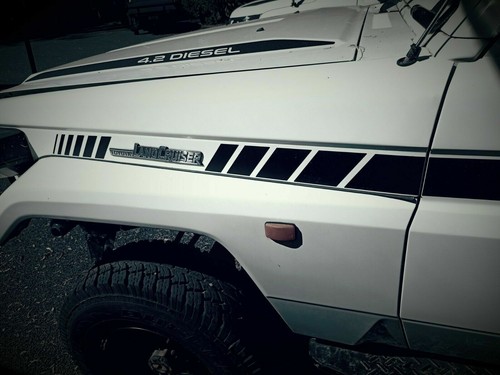 AM side Door STRIPES Fit TOYOTA Landcruiser 70 75 series TROOPY decals ...