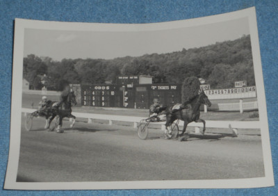 Circa 1971 Harness Racing Press Photo Horse "Miel" Peter Gerry - Goshen ...